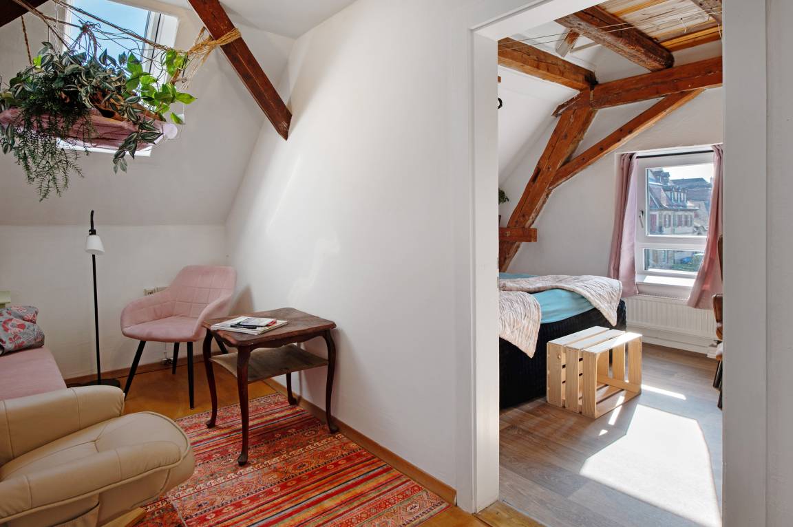 70 M² Appartement ∙ 2 Slaapkamers ∙ 5 Gasten - Ottmarsheim