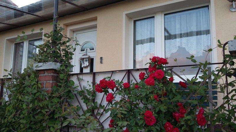 38 M² House ∙ 1 Bedroom ∙ 2 Guests - Elbingerode