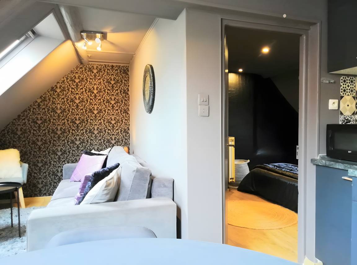 49 M² Appartement ∙ 1 Chambre ∙ 4 Personnes - Oberbronn