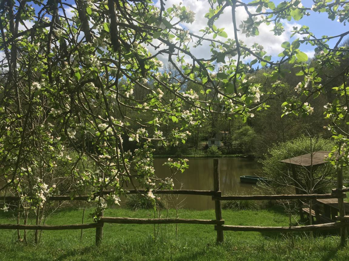 30 M² Chalet ∙ 2 Schlafzimmer ∙ 4 Gäste - Périgord