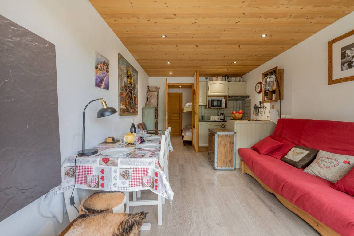20 M² Studio ∙ 4 Personnes - Les Praz de Chamonix
