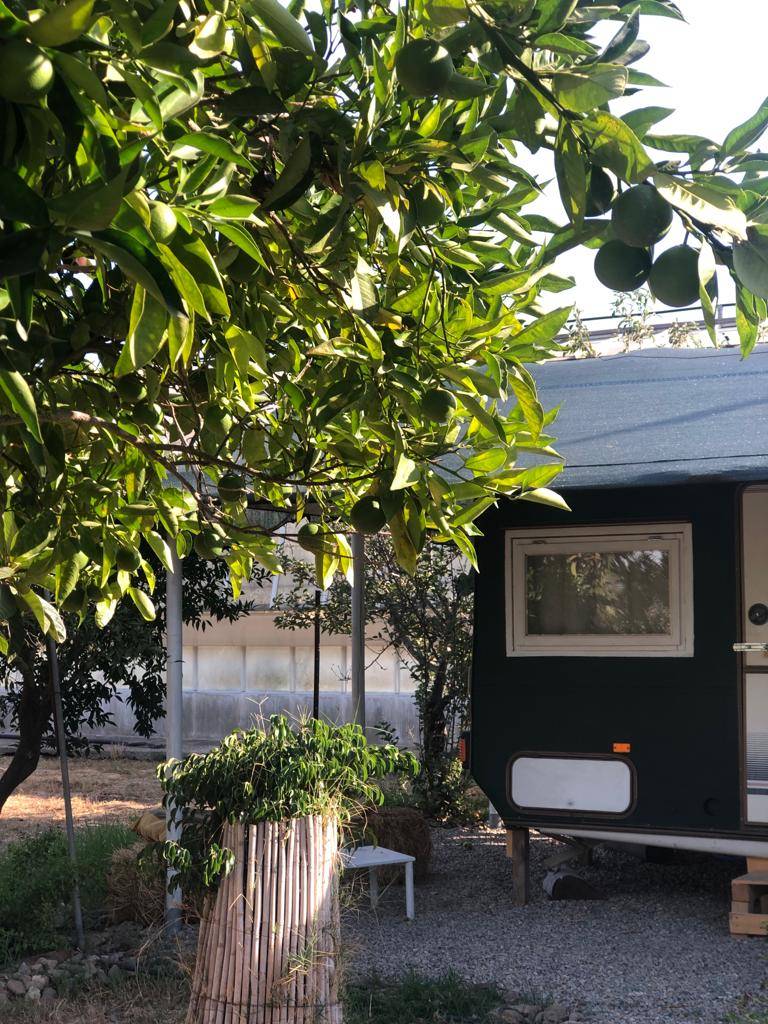 Farmhouse ∙ 1 Bedroom ∙ 2 Guests - Cagliari