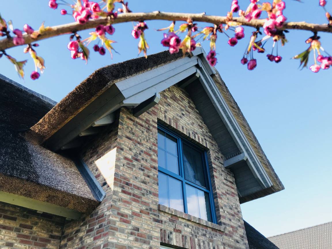 120 M² Casa ∙ 4 Quartos ∙ 7 Hóspedes - Hiddensee