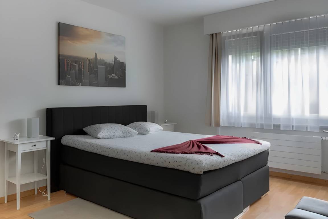 50 M² Apartment ∙ 1 Bedroom ∙ 2 Guests - Lausanne