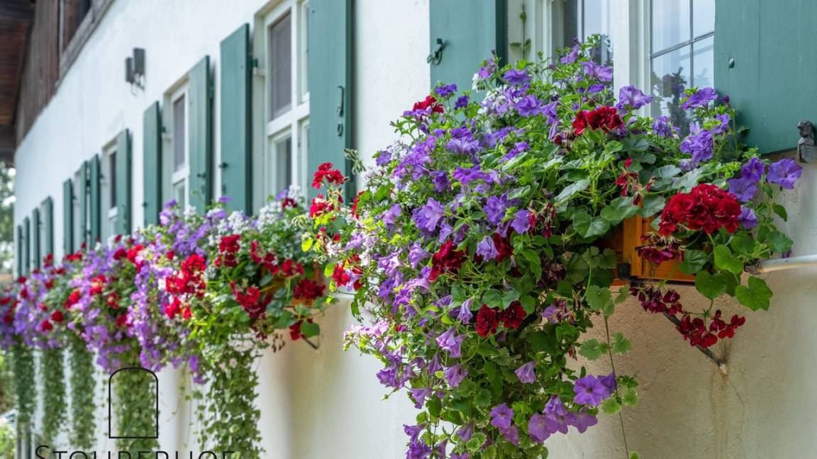 360 M² Ferienhaus ∙ 5 Schlafzimmer ∙ 15 Gäste - Utting am Ammersee