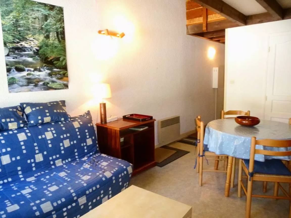 29 M² Studio Flat ∙ 1 Bedroom ∙ 5 Guests - Barèges