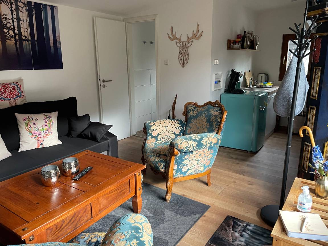 40 M² Ferienhaus ∙ 1 Schlafzimmer ∙ 4 Gäste - Harz