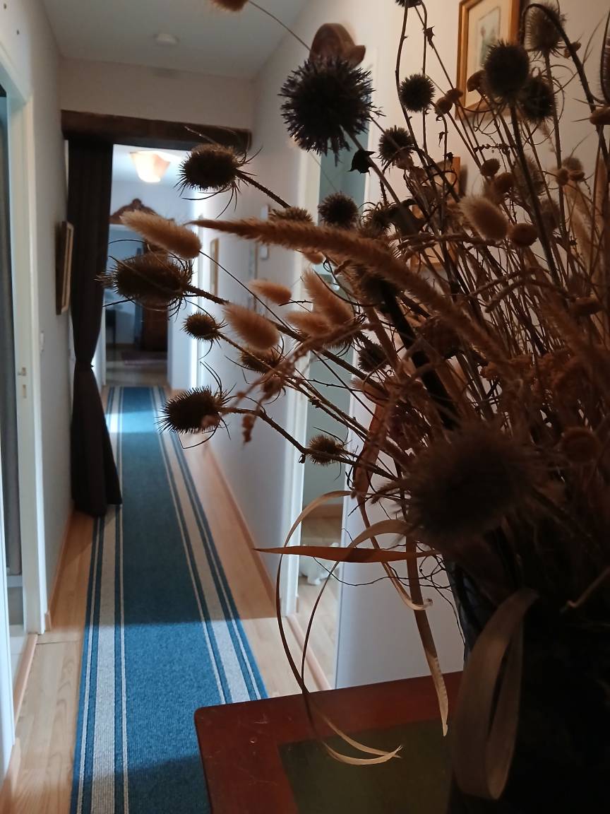 35 M² Chambre D'hôtes ∙ 1 Chambre ∙ 6 Personnes - Saint Aignan