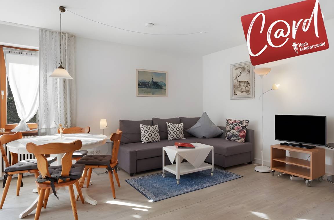 46 M² Apartment ∙ 1 Bedroom ∙ 2 Guests - Titisee-Neustadt