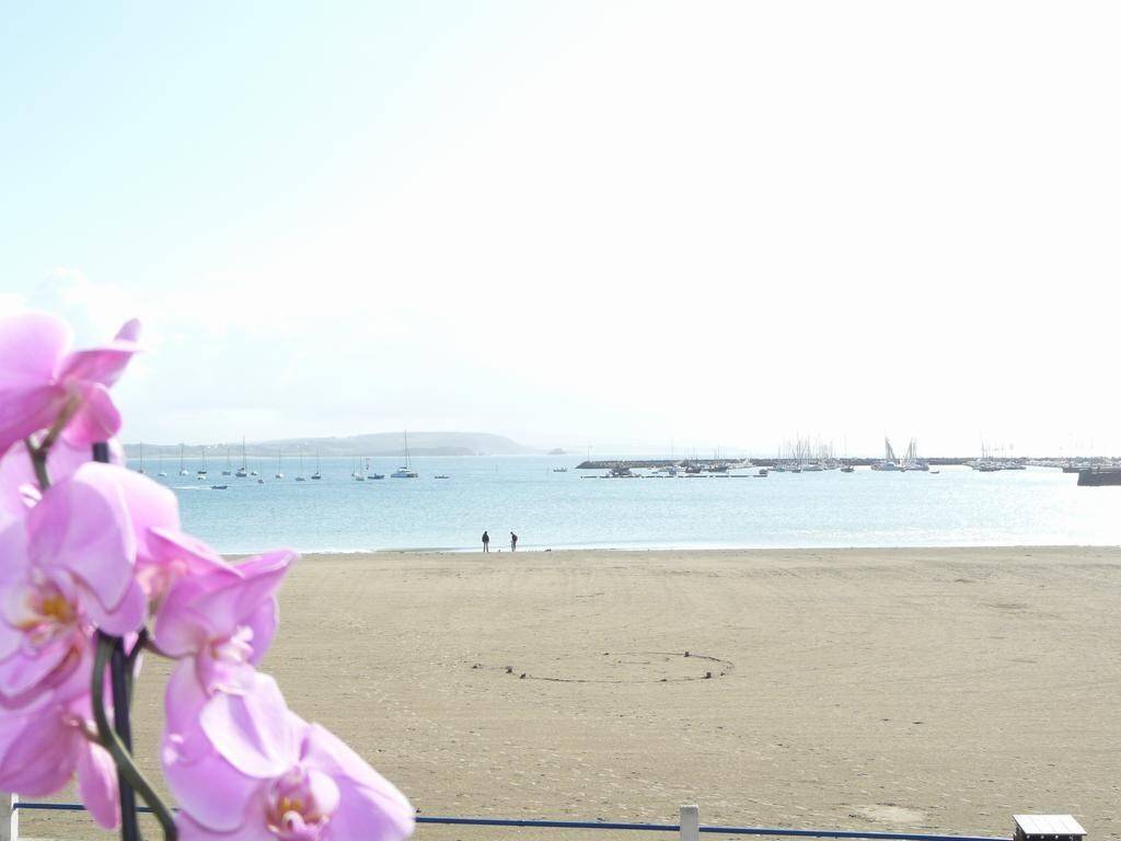 46 M² Appartement ∙ 1 Chambre ∙ 4 Personnes - Crozon