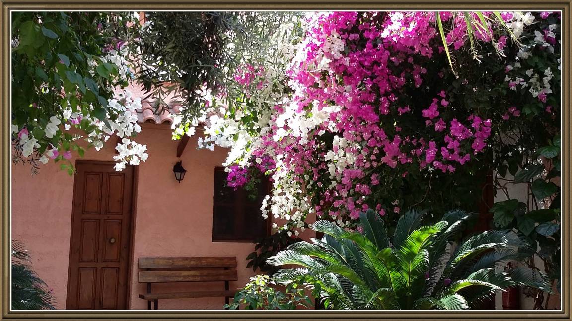 40 M² Cottage ∙ 1 Chambre ∙ 3 Personnes - Grèce