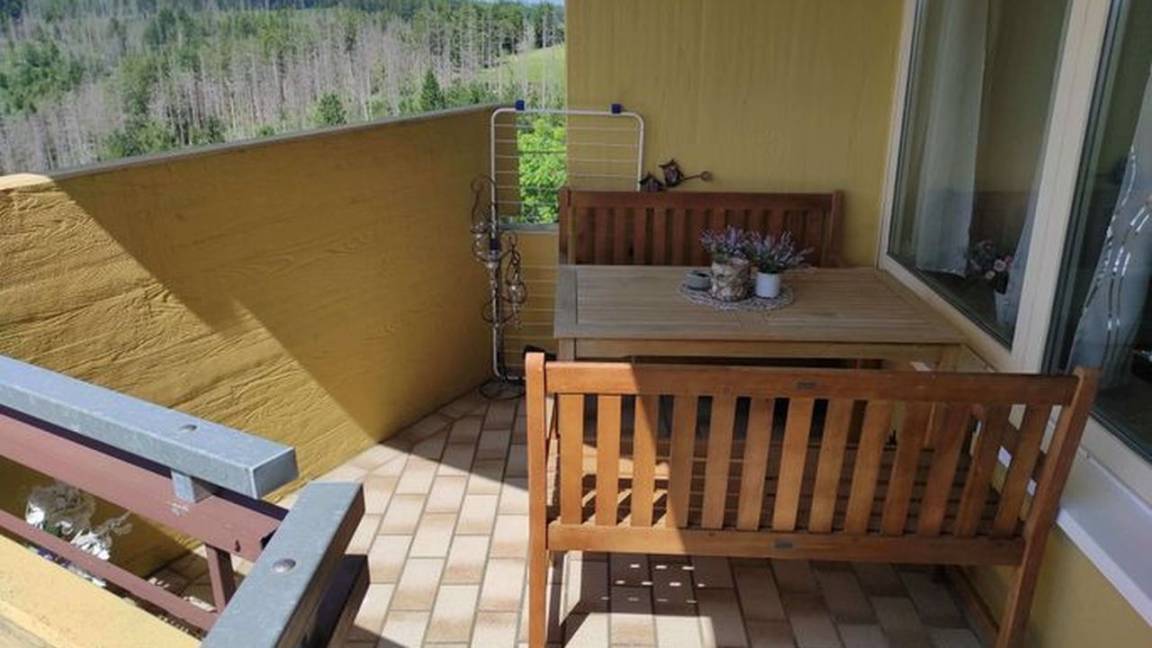 49 M² Apartment ∙ 1 Bedroom ∙ 4 Guests - Braunlage