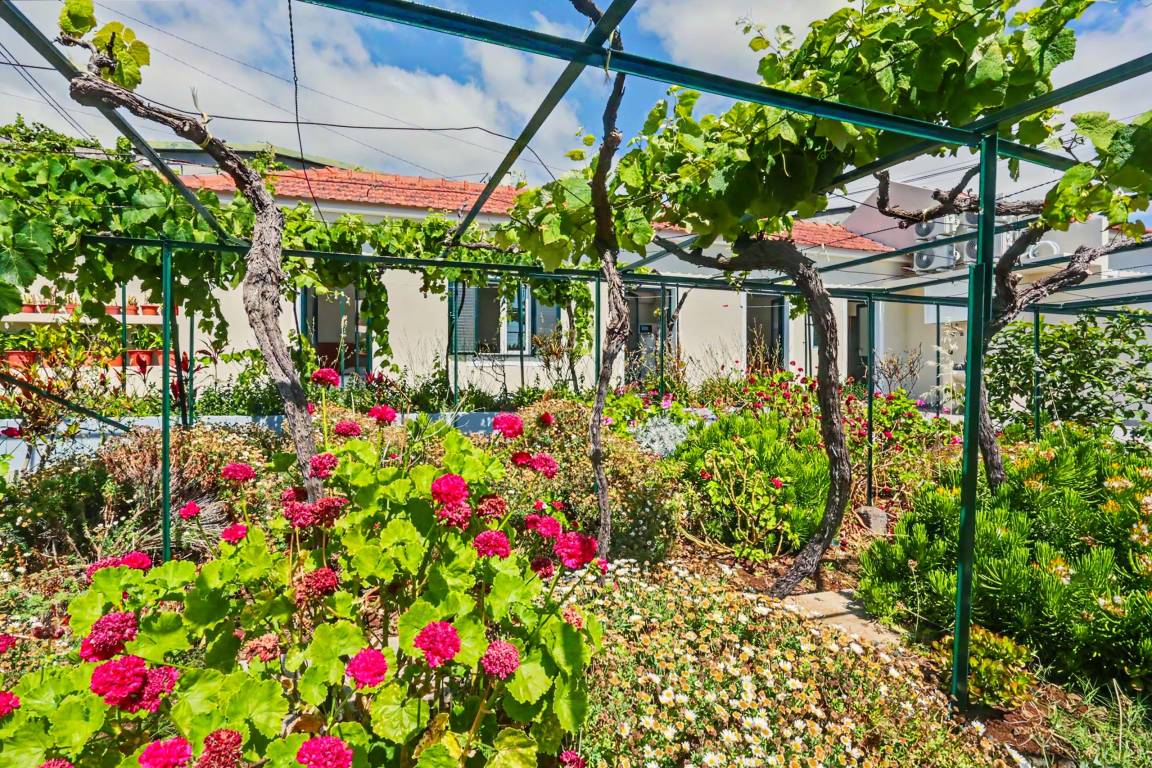 60 M² Chalet ∙ 2 Bedrooms ∙ 4 Guests - Madeira