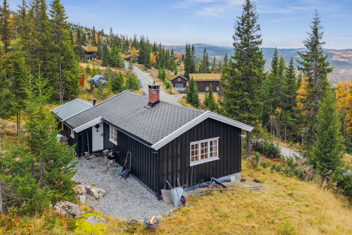 65 M² House ∙ 2 Bedrooms ∙ 6 Guests - Nesbyen