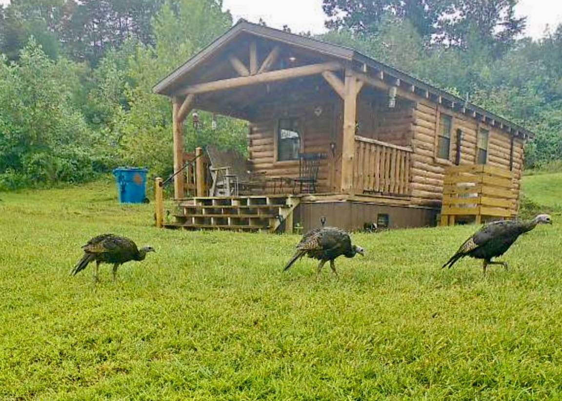 House ∙ 1 Bedroom ∙ 3 Guests - Wet and Wild, Gallipolis