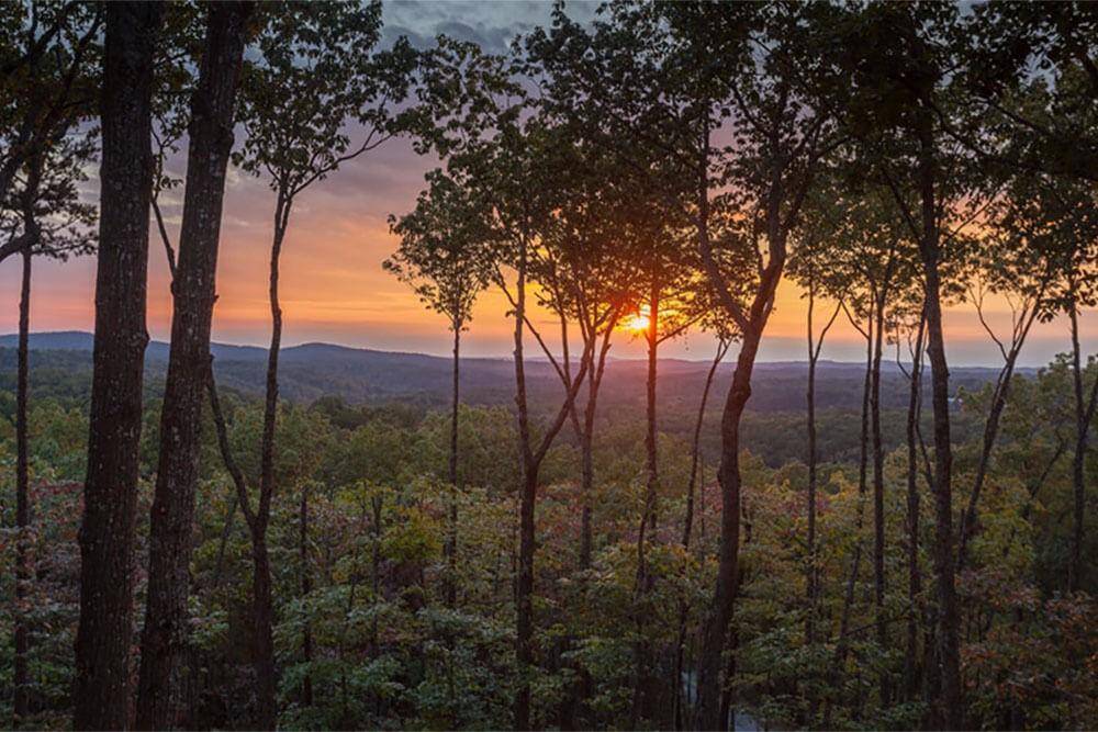 Cabin ∙ 3 Bedrooms ∙ 6 Guests - Jasper, GA