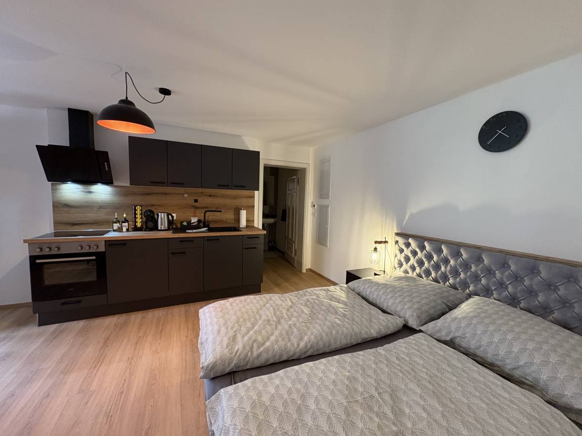 Appartement ∙ 1 Chambre ∙ 2 Personnes - Gunzenhausen