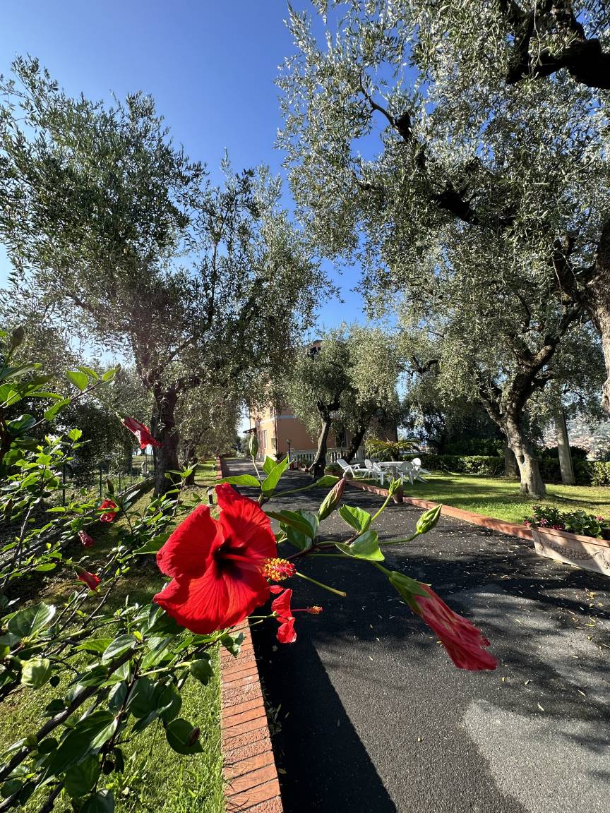 70 M² Farmhouse ∙ 2 Bedrooms ∙ 6 Guests - Diano Marina