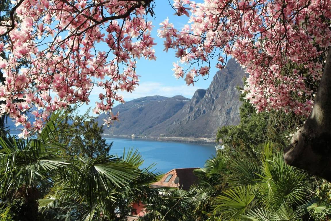 70 M² Appartement ∙ 2 Slaapkamers ∙ 3 Gasten - Lugano