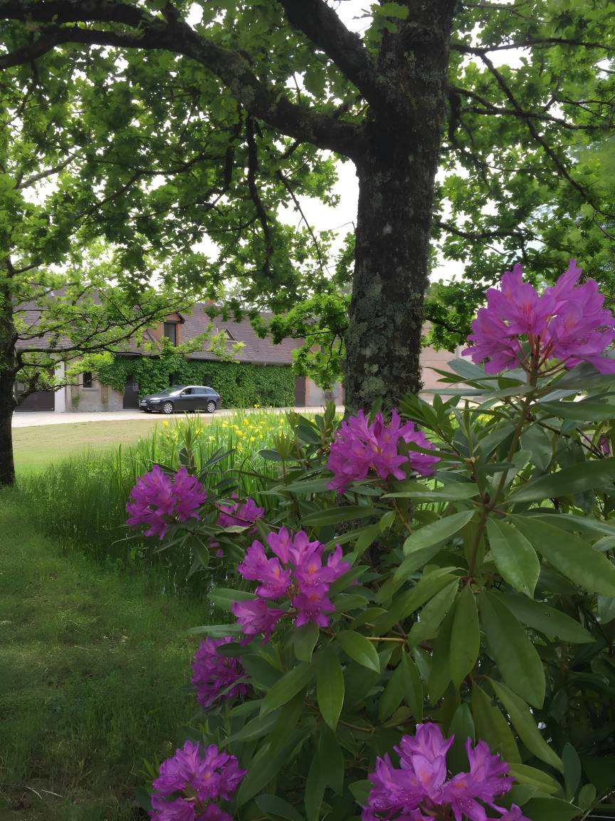 150 M² Huis ∙ 3 Slaapkamers ∙ 6 Gasten - Salbris