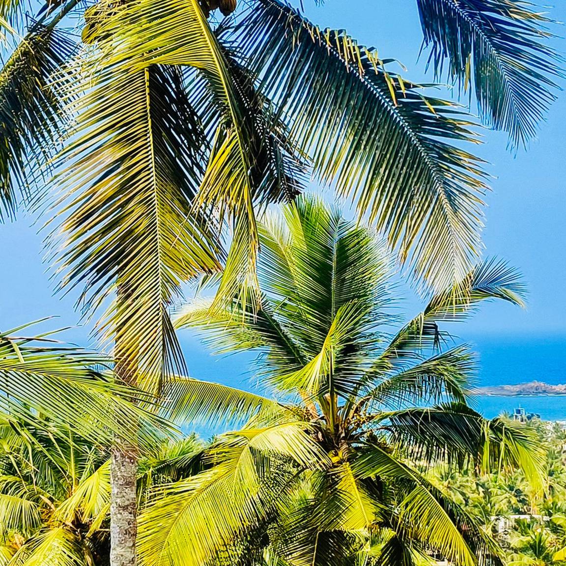 279 M² Private Room ∙ 2 Bedrooms ∙ 3 Guests - Kovalam
