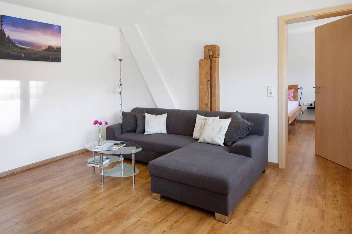 84 M² Apartment ∙ 2 Bedrooms ∙ 4 Guests - Titisee-Neustadt