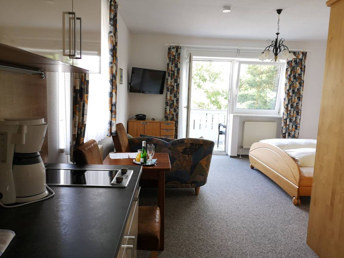 Apartamento ∙ 1 Habitación ∙ 2 Huéspedes - Abensberg