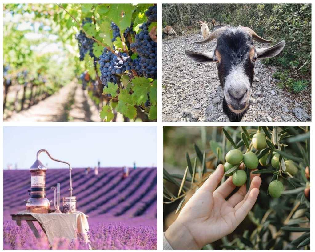 30 M² Camping ∙ 3 Chambres ∙ 6 Personnes - Vallon-Pont-d'Arc