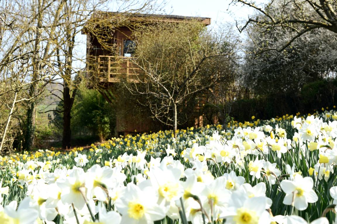 20 M² Chalet ∙ 1 Chambre ∙ 2 Personnes - Val-d'Oise