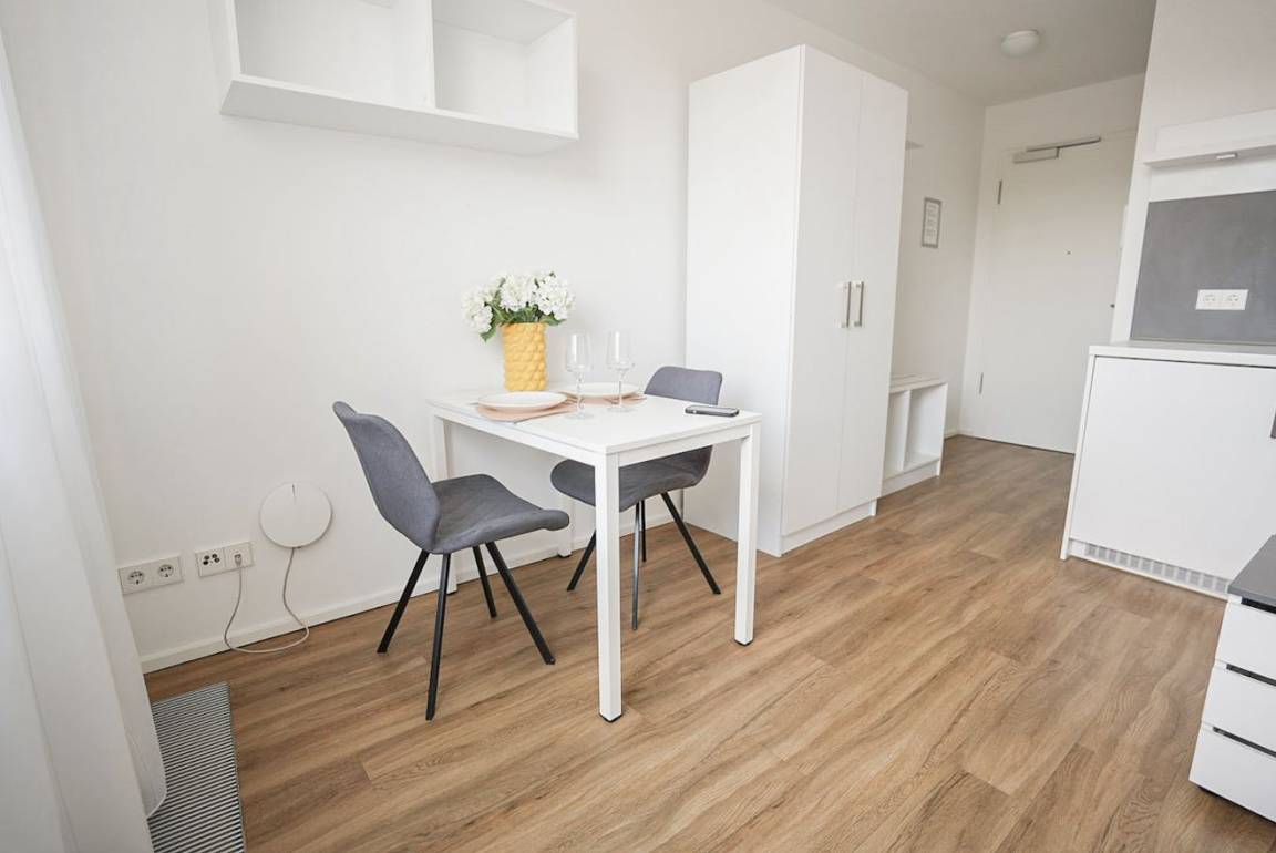22 M² Apartment ∙ 1 Bedroom ∙ 2 Guests - Stuttgart