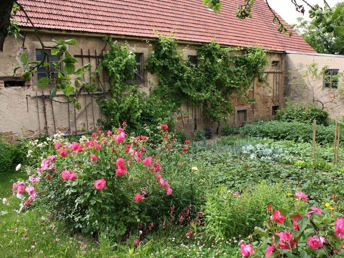 50 M² Ferienwohnung ∙ 1 Schlafzimmer ∙ 6 Gäste - Sächsische Schweiz-Osterzgebirge