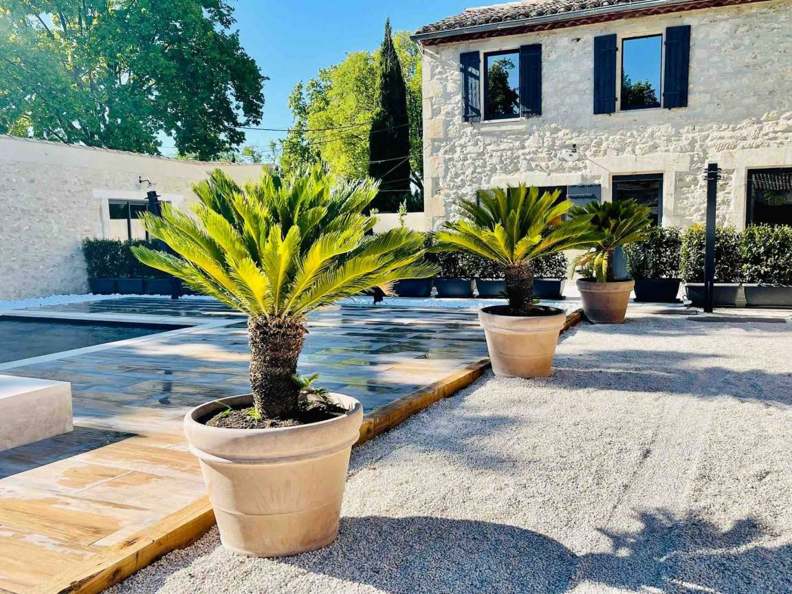 38 M² Huis ∙ 1 Slaapkamer ∙ 2 Gasten - Paradou