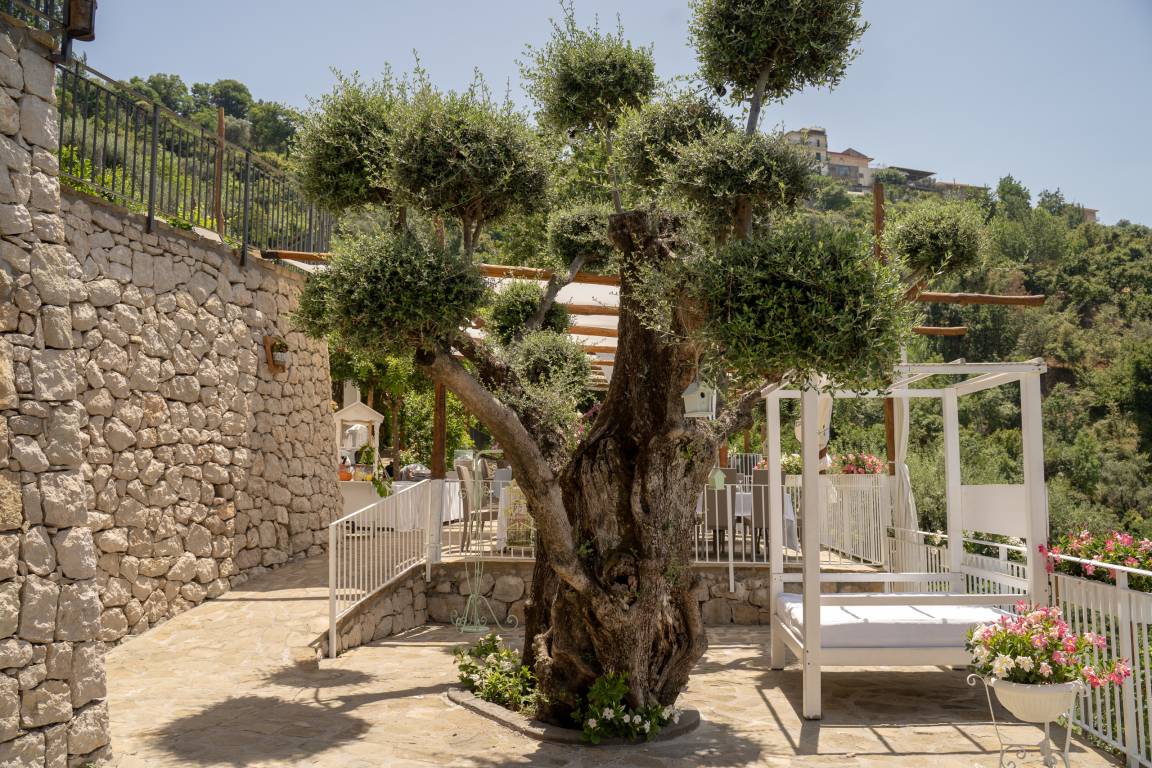 50 M² Private Room ∙ 1 Bedroom ∙ 4 Guests - Positano