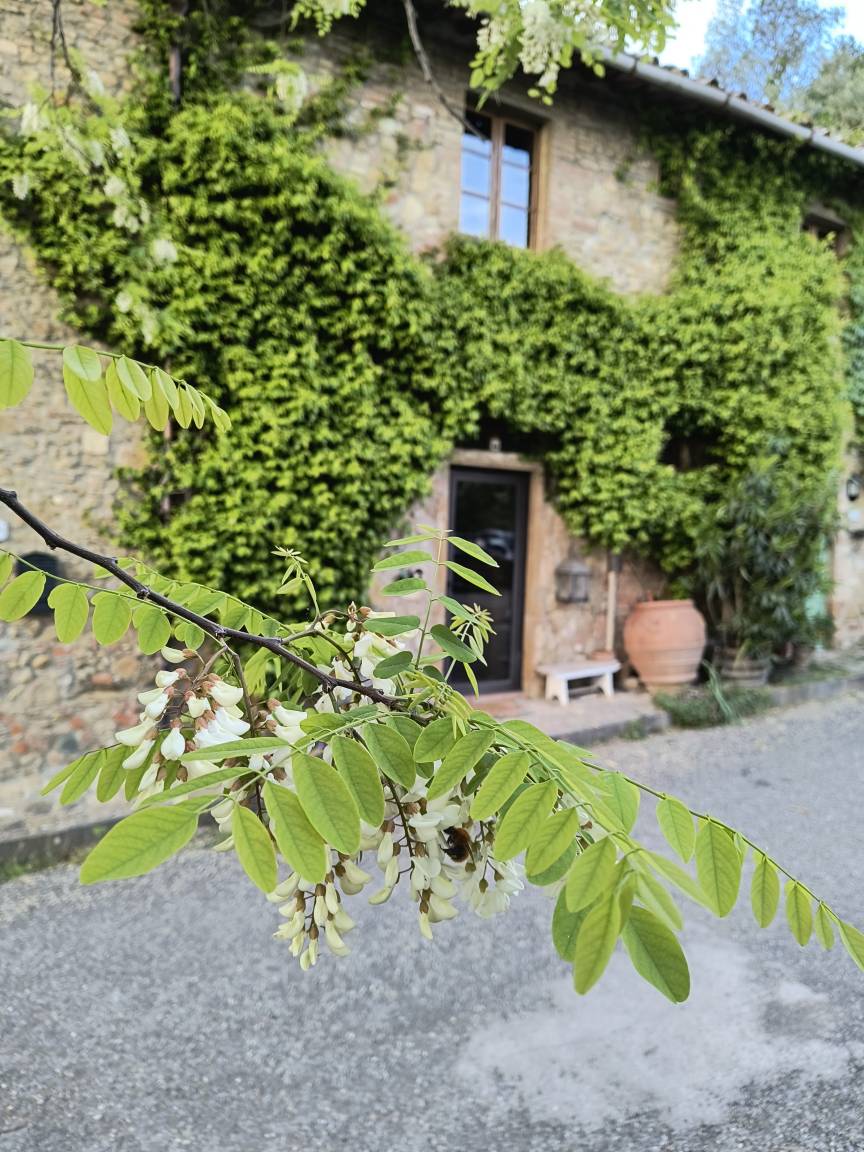 120 M² House ∙ 3 Bedrooms ∙ 7 Guests - Poggibonsi