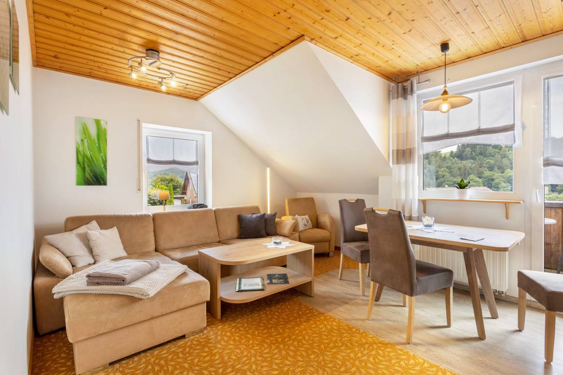 51 M² Apartment ∙ 1 Bedroom ∙ 4 Guests - Willingen