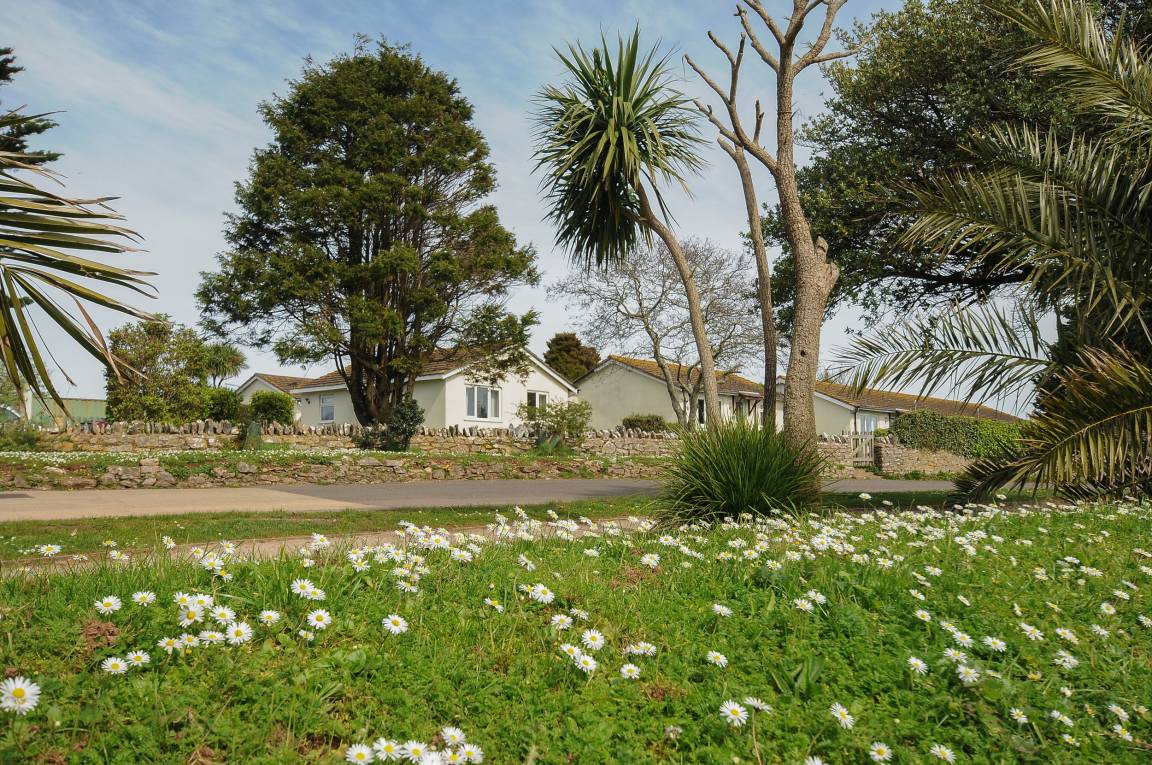 Cottage ∙ 2 Bedrooms ∙ 4 Guests - Brixham