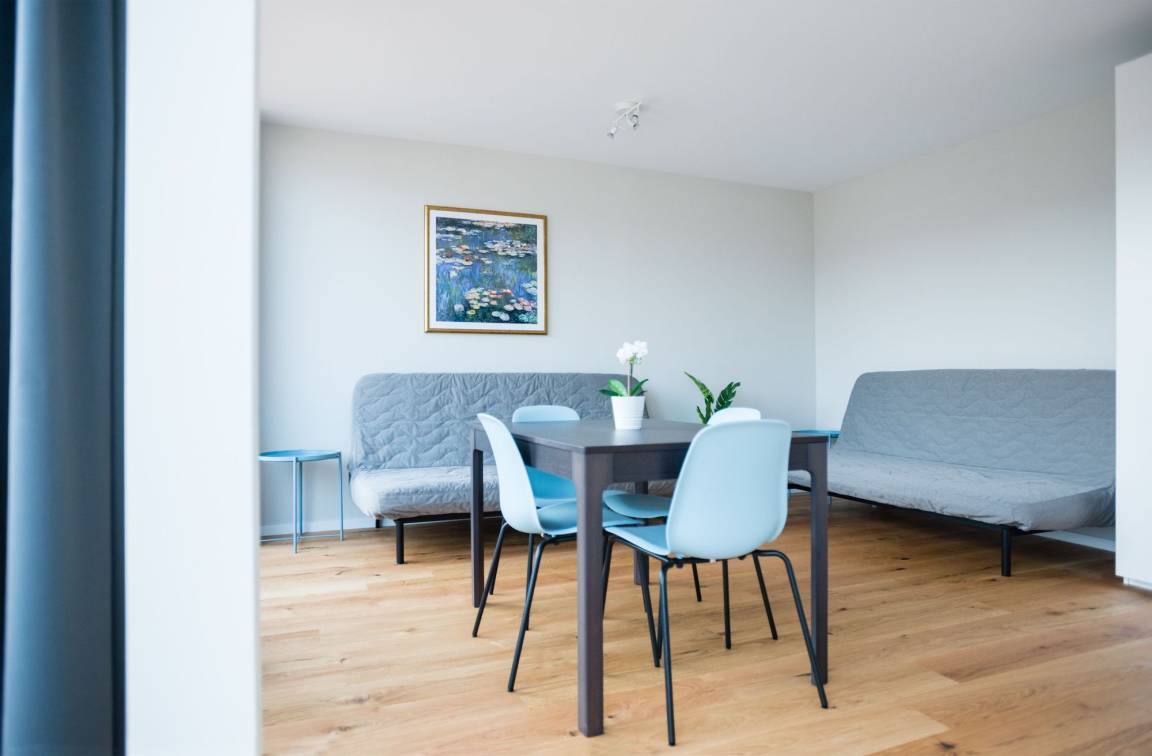 50 M² Estudio ∙ 1 Habitación ∙ 4 Huéspedes - Basel