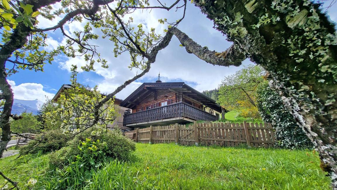 38 M² Cabin ∙ 1 Bedroom ∙ 2 Guests - Bad Hofgastein