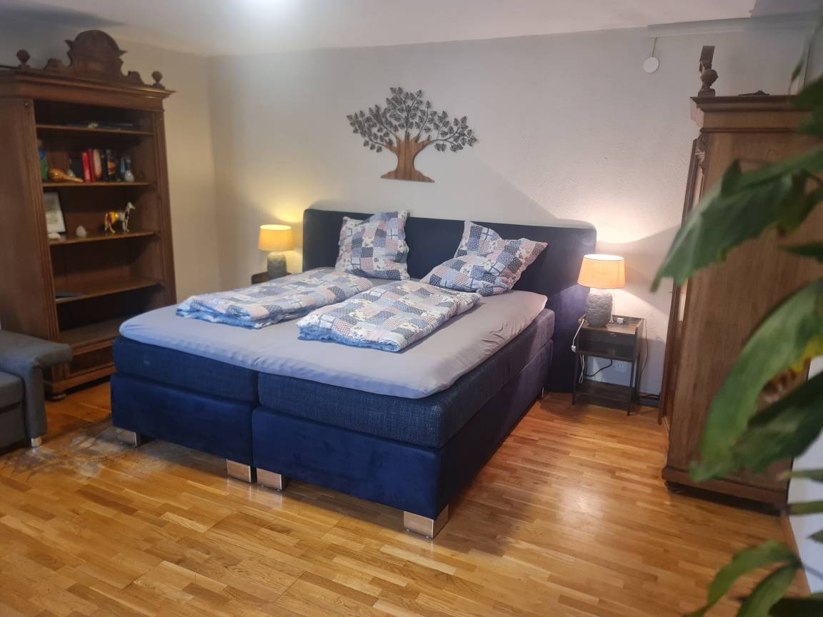 40 M² Ferienwohnung ∙ 1 Schlafzimmer ∙ 2 Gäste - Breisach am Rhein