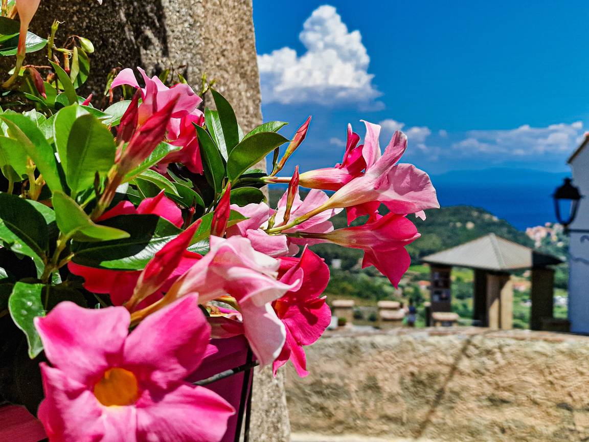 28 M² Appartement ∙ 1 Chambre ∙ 3 Personnes - Rio