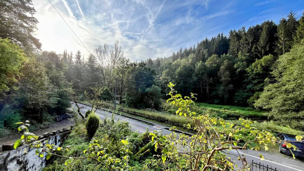 Mökki ∙ 4 Makuuhuonetta ∙ 9 Vierasta - Houffalize
