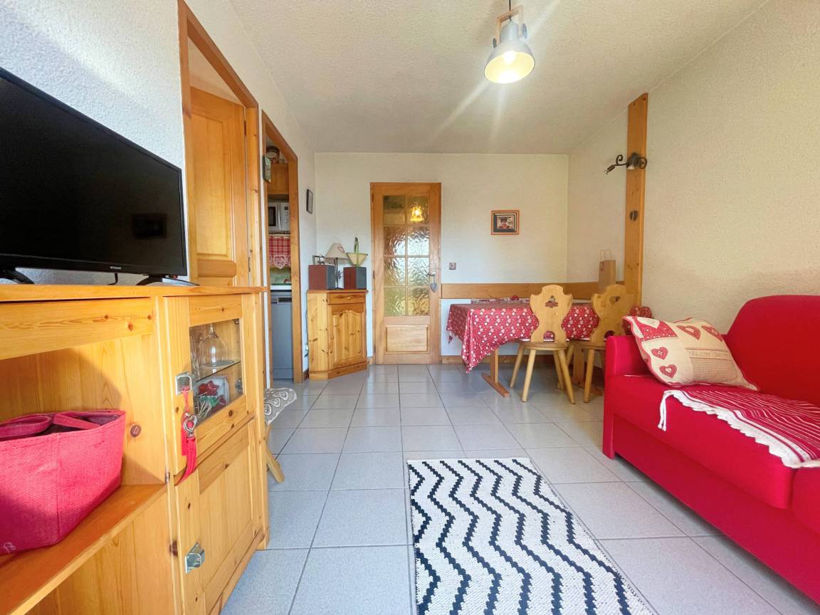 28 M² Apartment ∙ 1 Bedroom ∙ 4 Guests - Samoëns