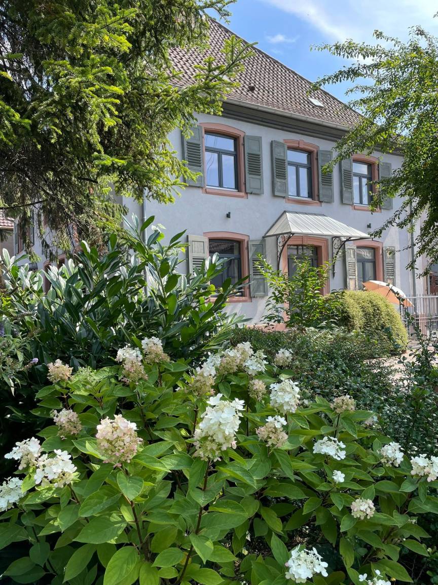 66 M² Apartment ∙ 1 Bedroom ∙ 4 Guests - Kippenheim