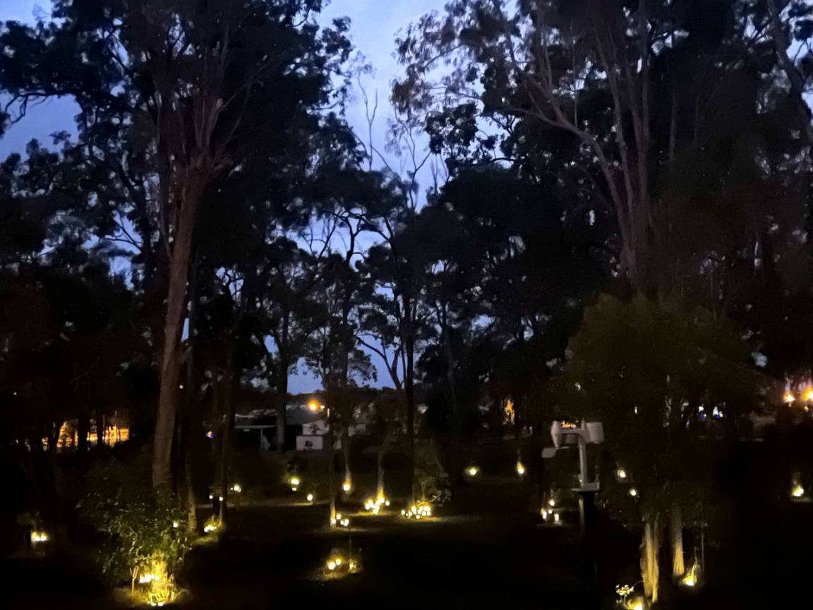 House ∙ 1 Bedroom ∙ 2 Guests - Childers