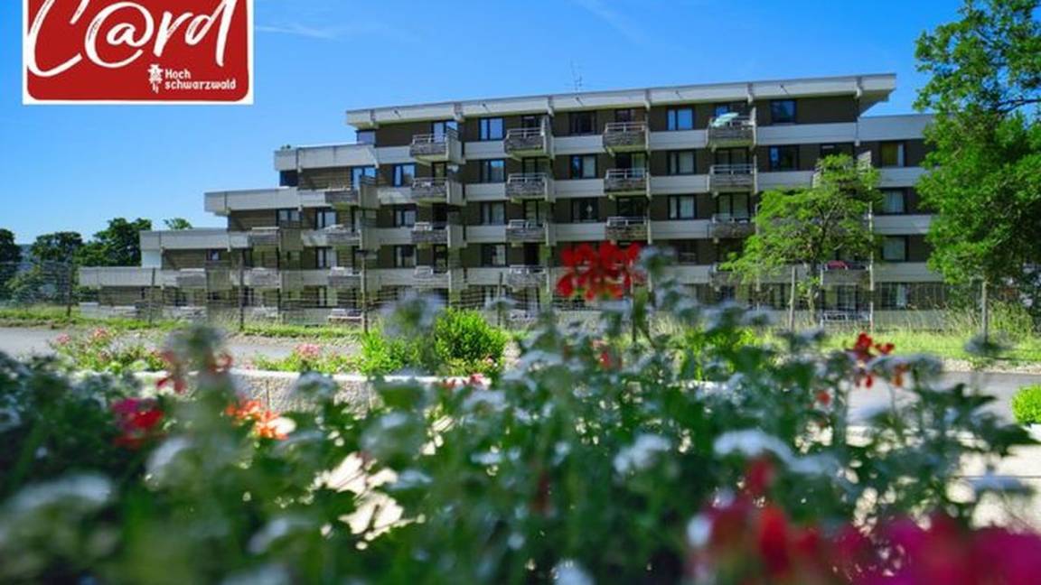 55 M² Apartment ∙ 1 Bedroom ∙ 4 Guests - Feldberg