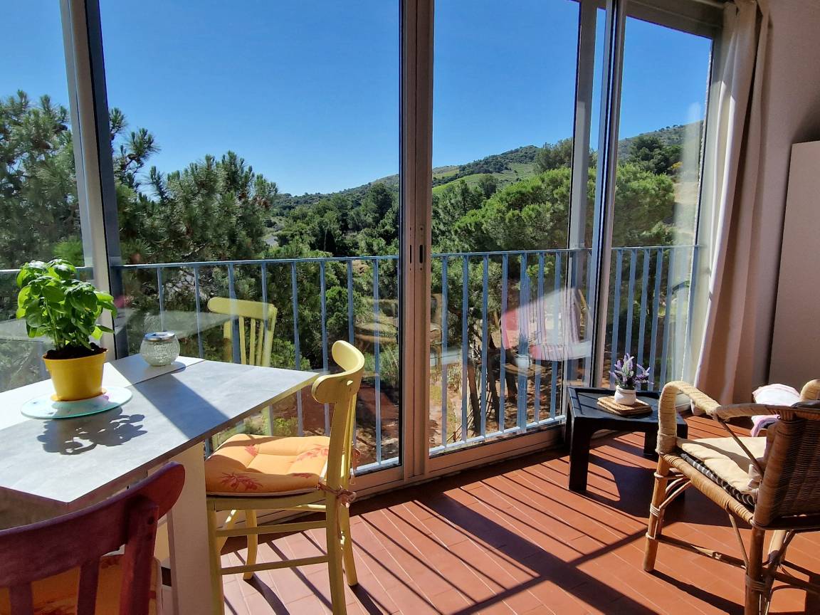 45 M² Apartment ∙ 1 Bedroom ∙ 4 Guests - Banyuls-sur-Mer