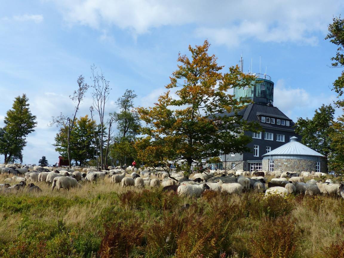 75 M² Huis ∙ 2 Slaapkamers ∙ 5 Gasten - Olsberg