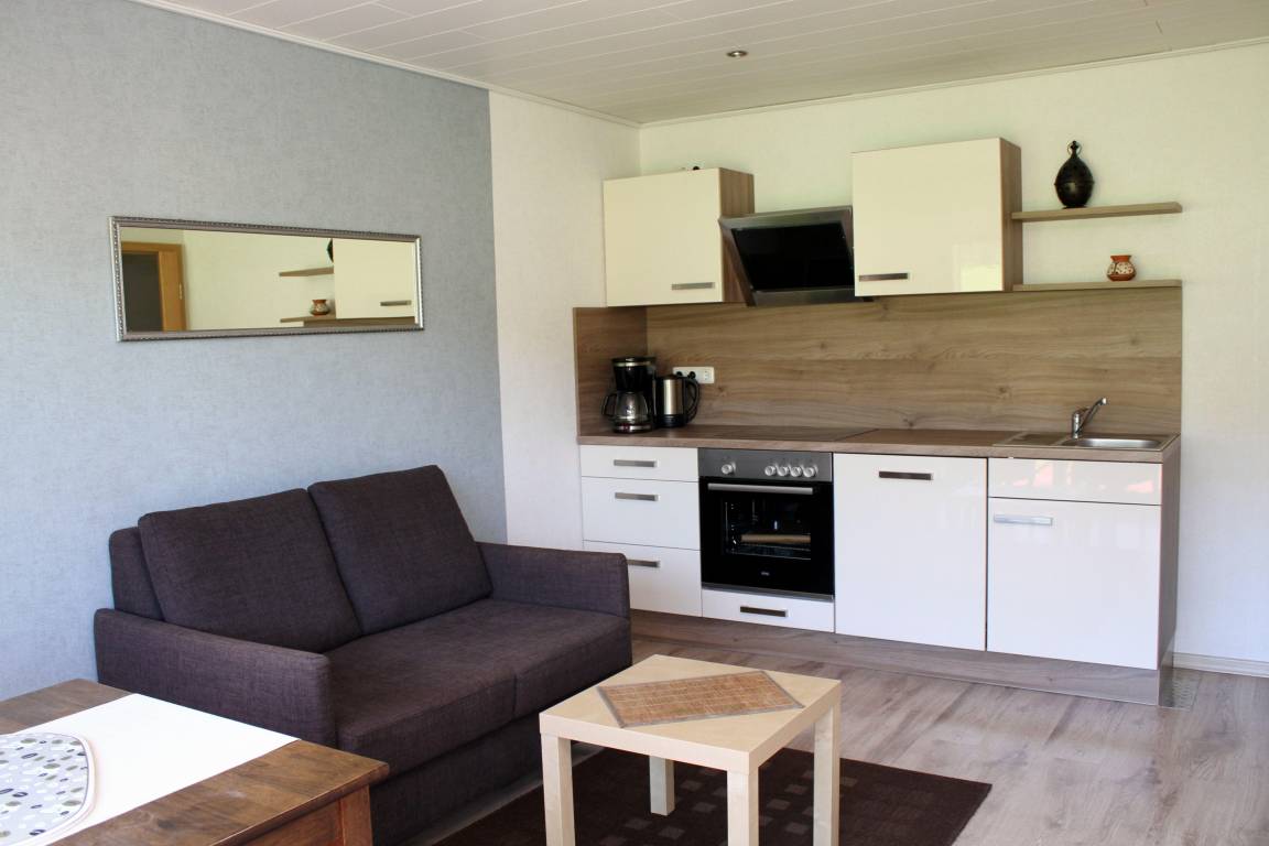 40 M² Apartment ∙ 1 Bedroom ∙ 3 Guests - Willingen