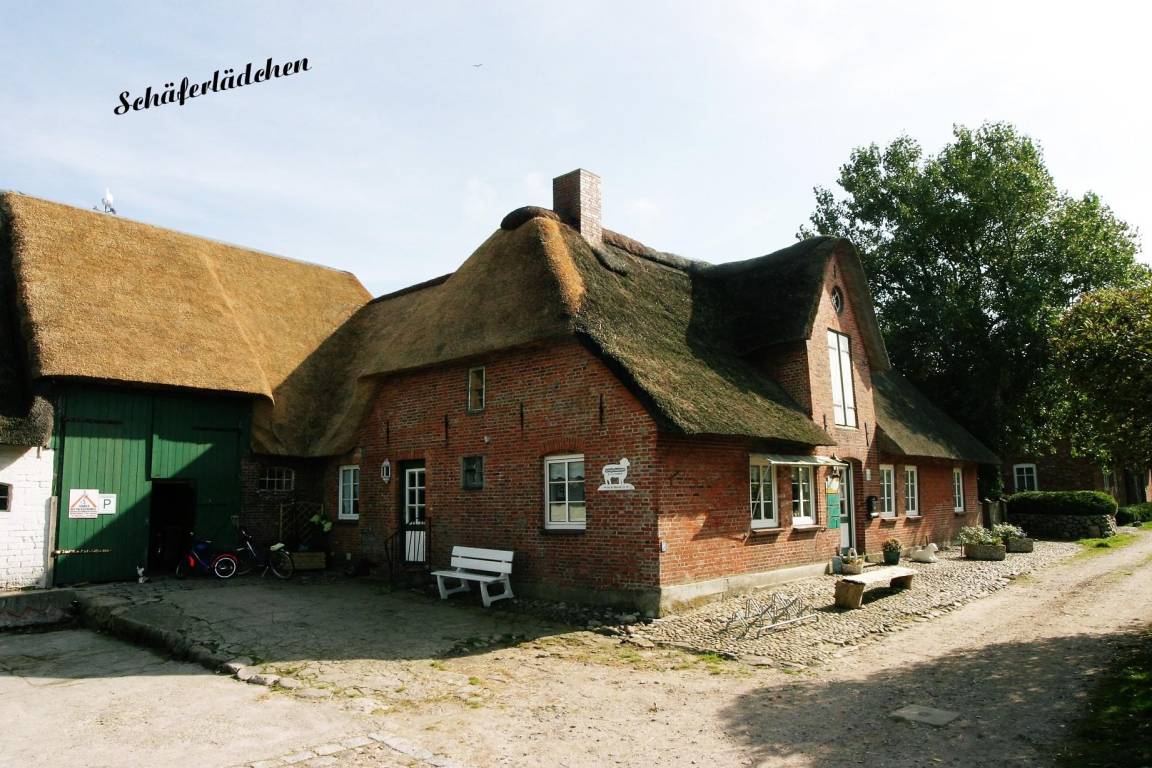 55 M² Appartement ∙ 2 Chambres ∙ 2 Personnes - Amrum