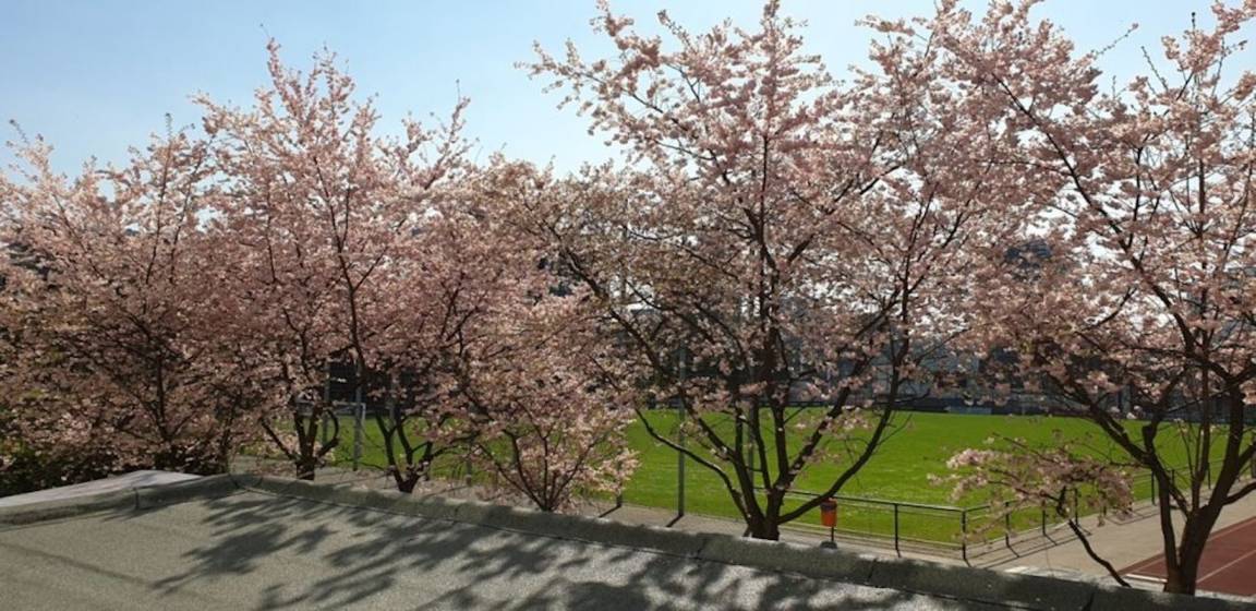 64 M² House ∙ 1 Bedroom ∙ 2 Guests - Düsseldorf